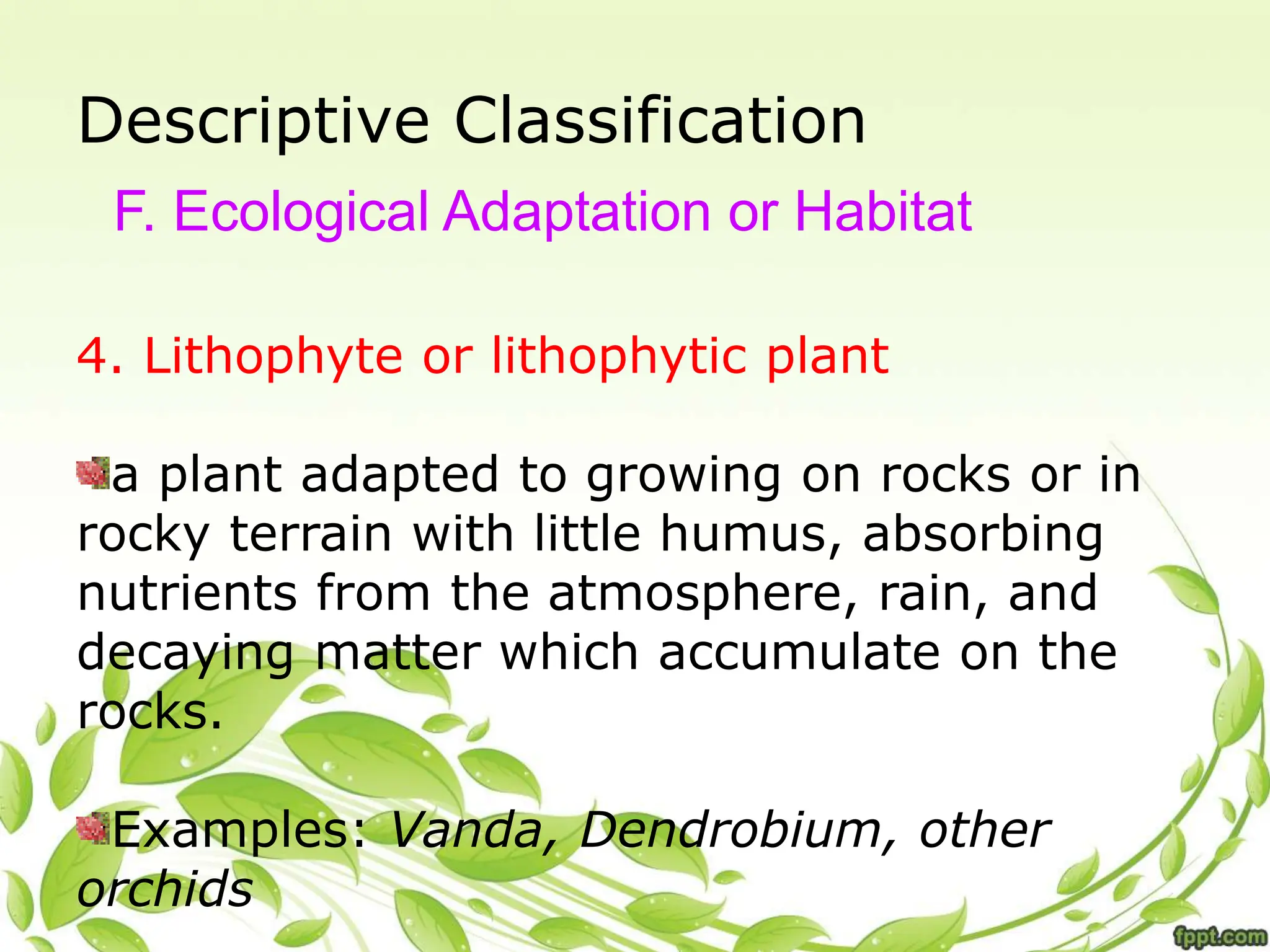 ClassiFication of AFricultural C0gps - fin (2).ppt