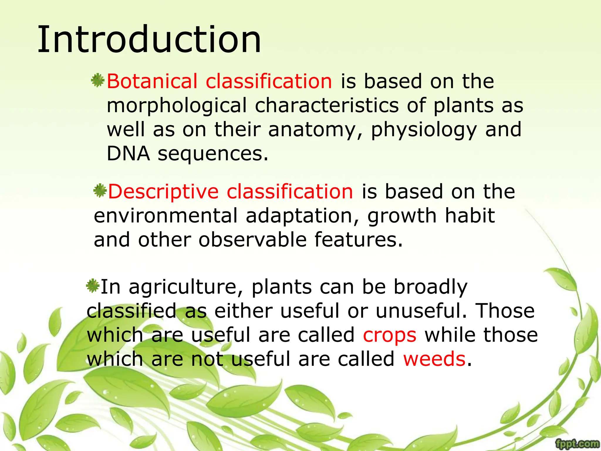 ClassiFication of AFricultural C0gps - fin (2).ppt