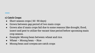 Classification of Agronomic Crops – A Comprehensive Guide | PDF