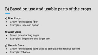 Classification of Agronomic Crops – A Comprehensive Guide | PDF
