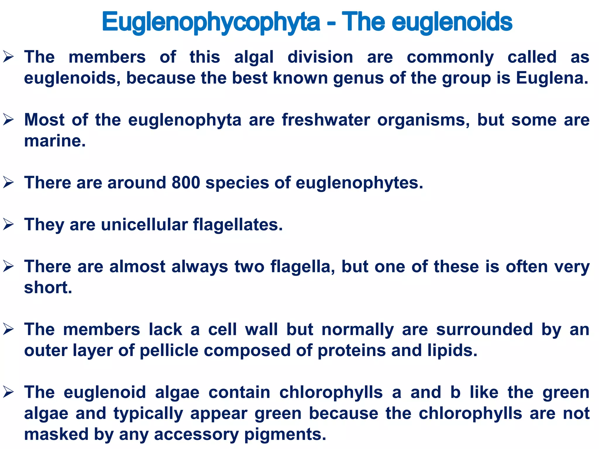 Classification of algae | PPTX