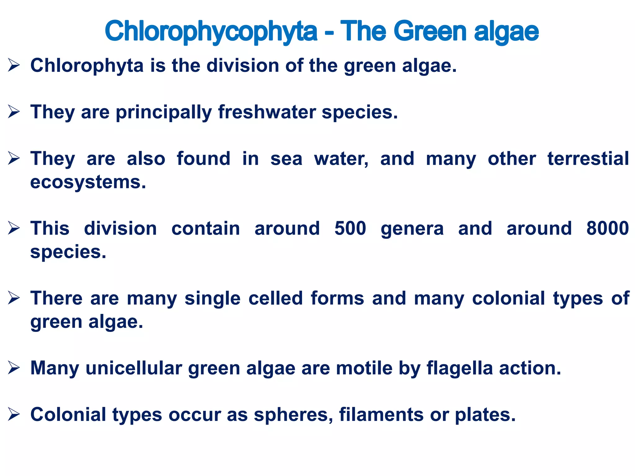 Classification of algae | PPTX