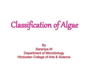 Classification of algae | PPTX