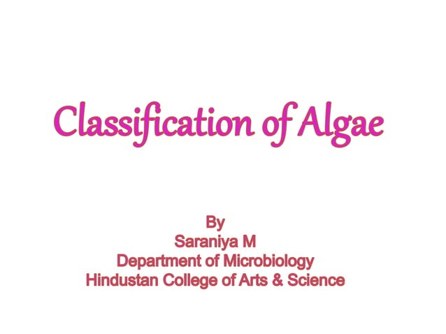 Classification of algae | PPTX | Biological Sciences | Science