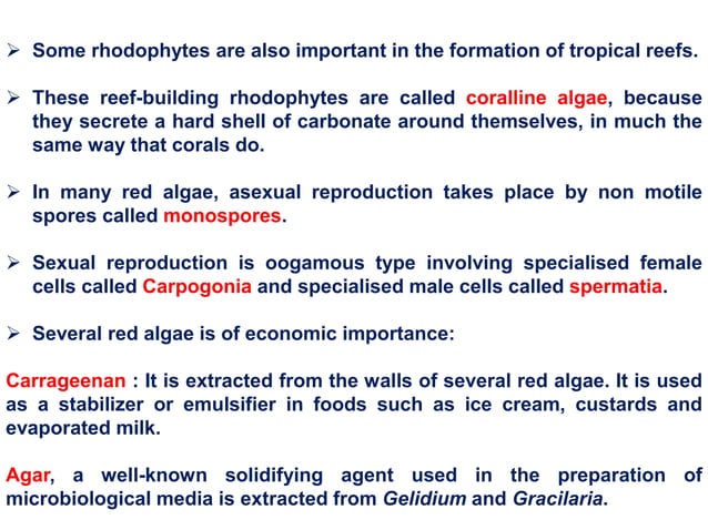 Classification of algae | PPTX | Biological Sciences | Science