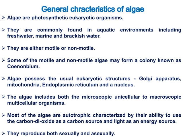 Classification of algae | PPTX | Biological Sciences | Science