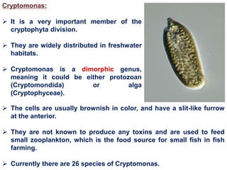 Classification of algae | PPTX
