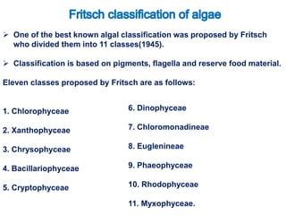 Classification of algae | PPTX