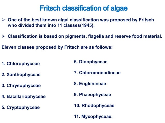 Classification of algae | PPTX | Biological Sciences | Science
