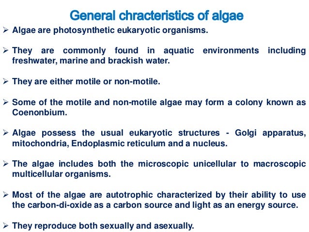 Algae General Characters And Classification