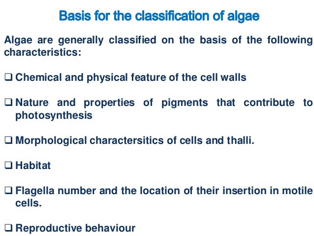 Algae General Characters And Classification