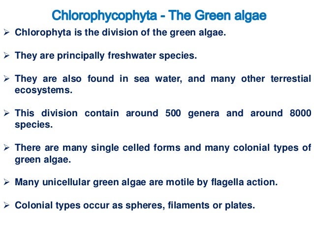 Algae General Characters And Classification