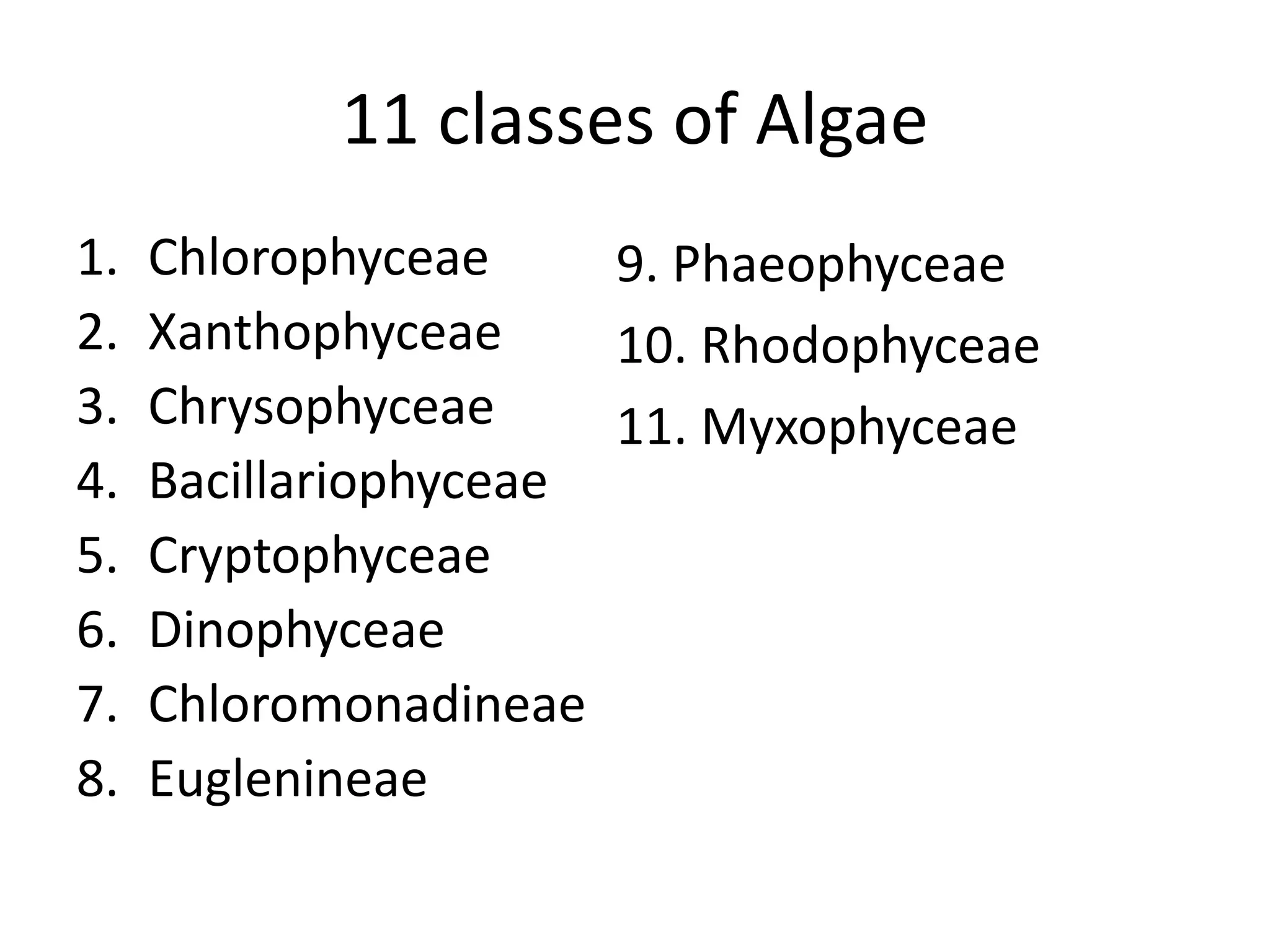 Classification of algae | PPTX