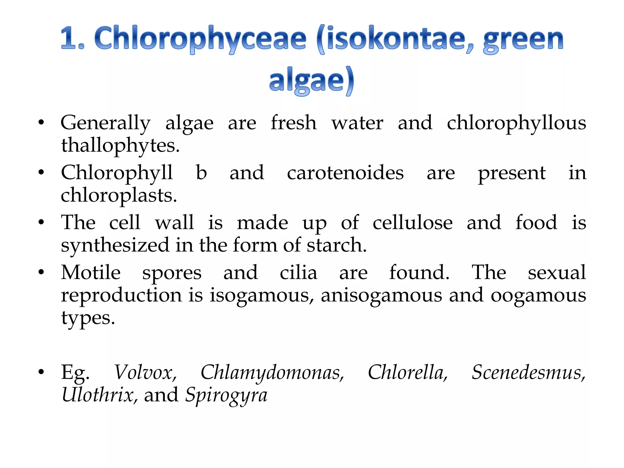 Classification of algae | PPTX