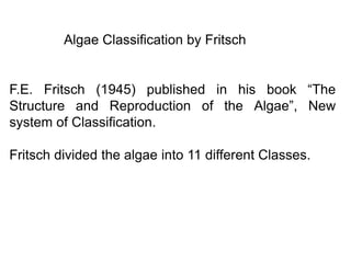 Classification of algae | PPTX
