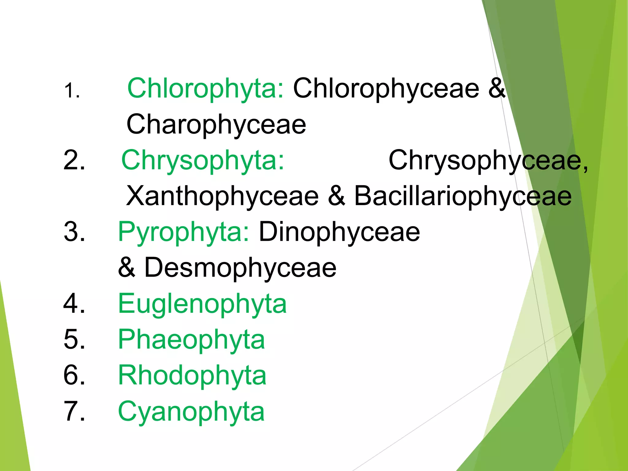 Classification of algae.pdf