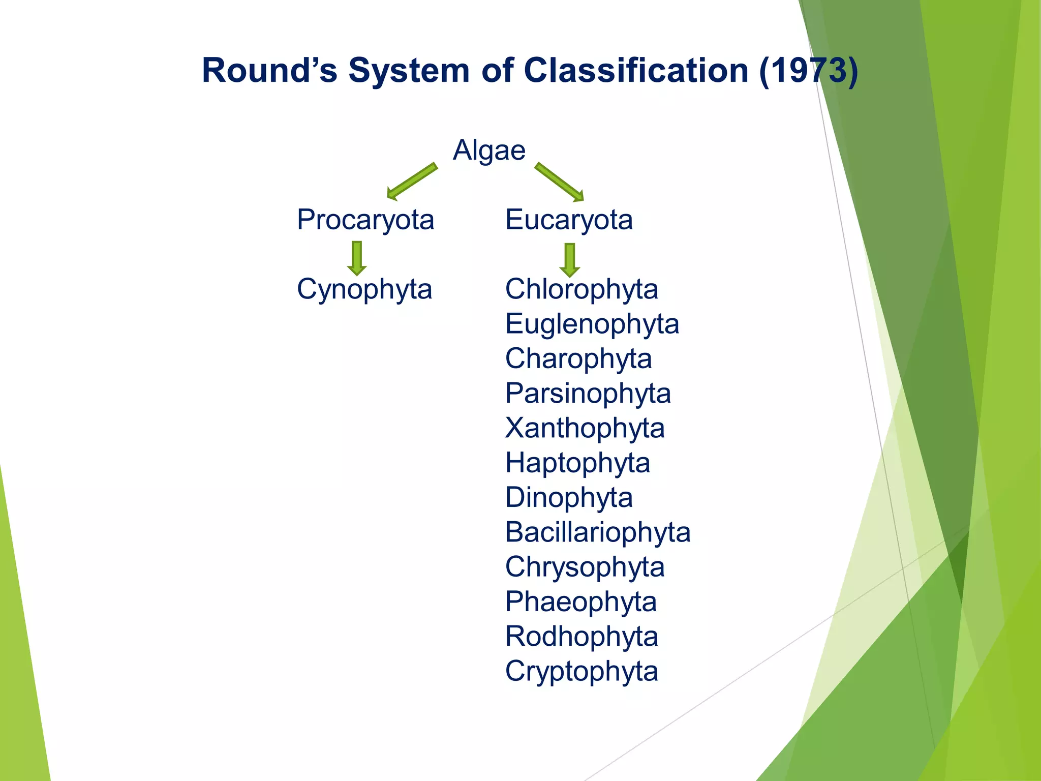 Classification of algae.pdf