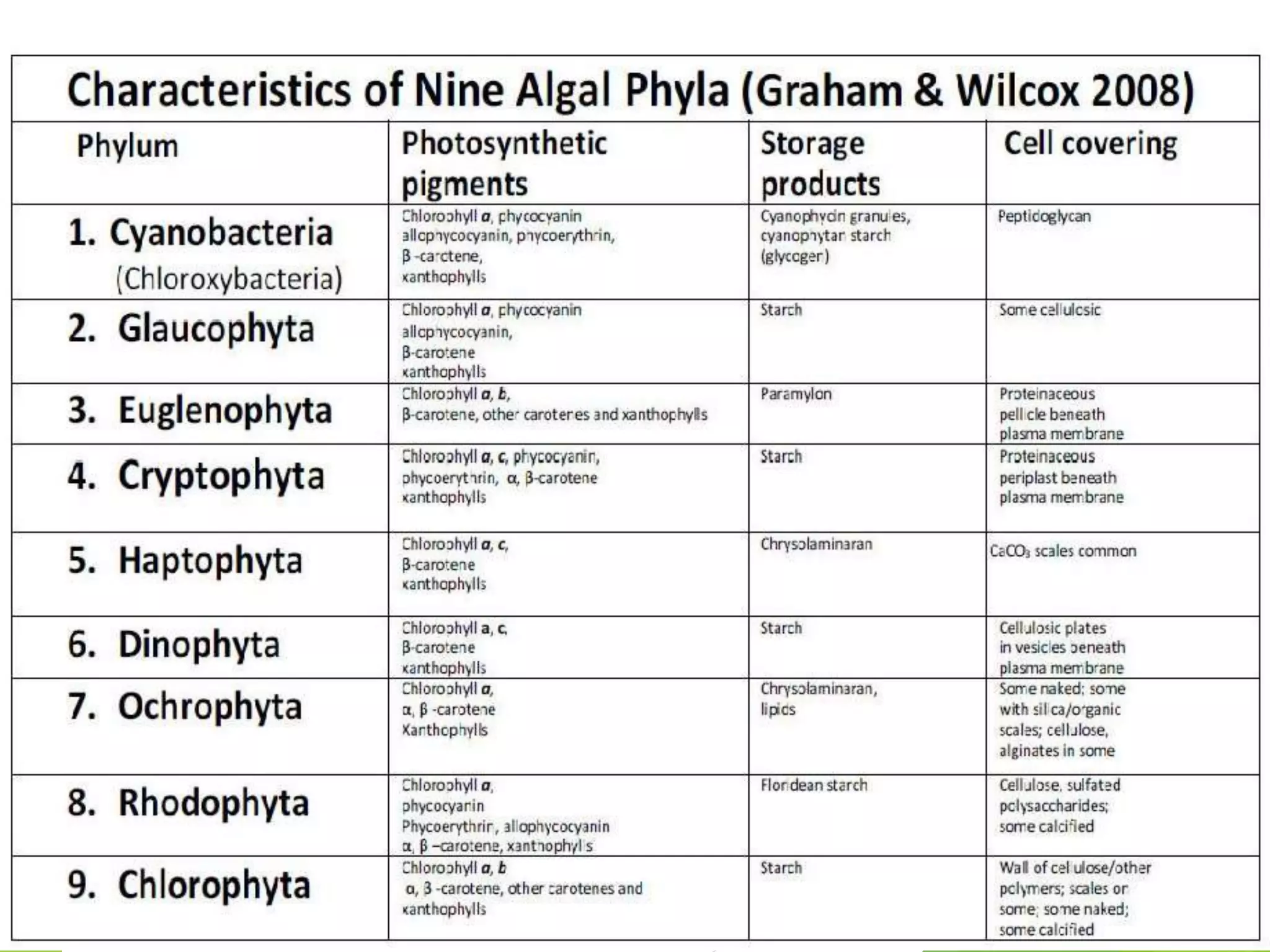 Classification of algae.pdf