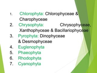 Classification of algae.pdf