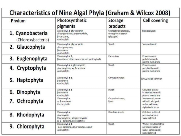 Classification of algae.pdf | Biological Sciences | Science