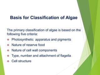 Classification of algae.pdf