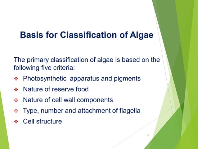 Classification of algae.pdf | Biological Sciences | Science