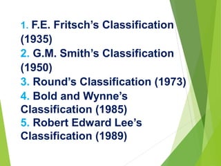 Classification of algae.pdf