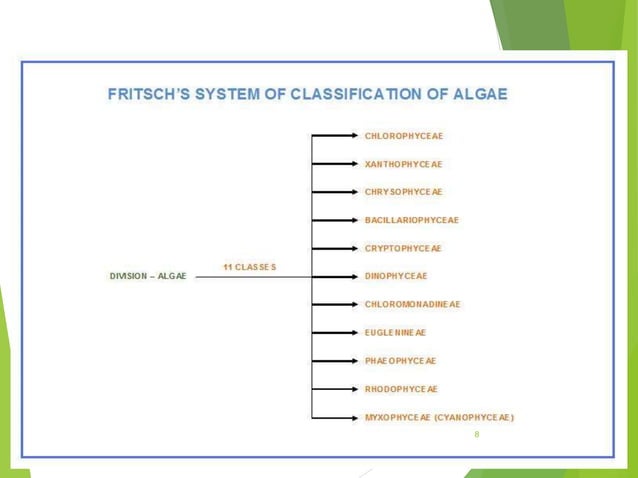 Classification of algae.pdf | Biological Sciences | Science