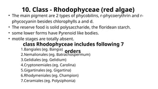 classification of Algae .pptx availablegggggg | PPTX