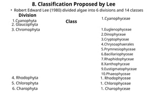 classification of Algae .pptx availablegggggg | PPTX