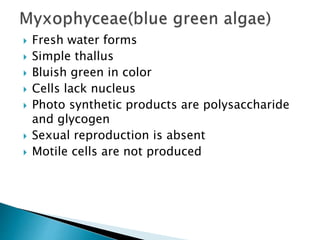 classification of algae 123.ppt