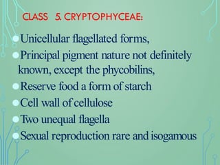 Classification of Algae E-Content Prepared By Dr. Neeraj Kumar Tiwari .pdf