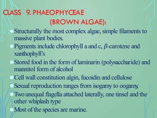 Classification of Algae E-Content Prepared By Dr. Neeraj Kumar Tiwari .pdf