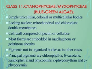 Classification of Algae E-Content Prepared By Dr. Neeraj Kumar Tiwari .pdf