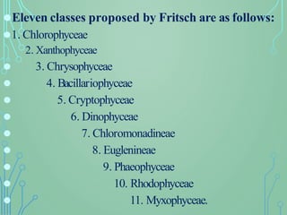 Classification of Algae E-Content Prepared By Dr. Neeraj Kumar Tiwari .pdf