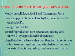 Classification of Algae E-Content Prepared By Dr. Neeraj Kumar Tiwari .pdf