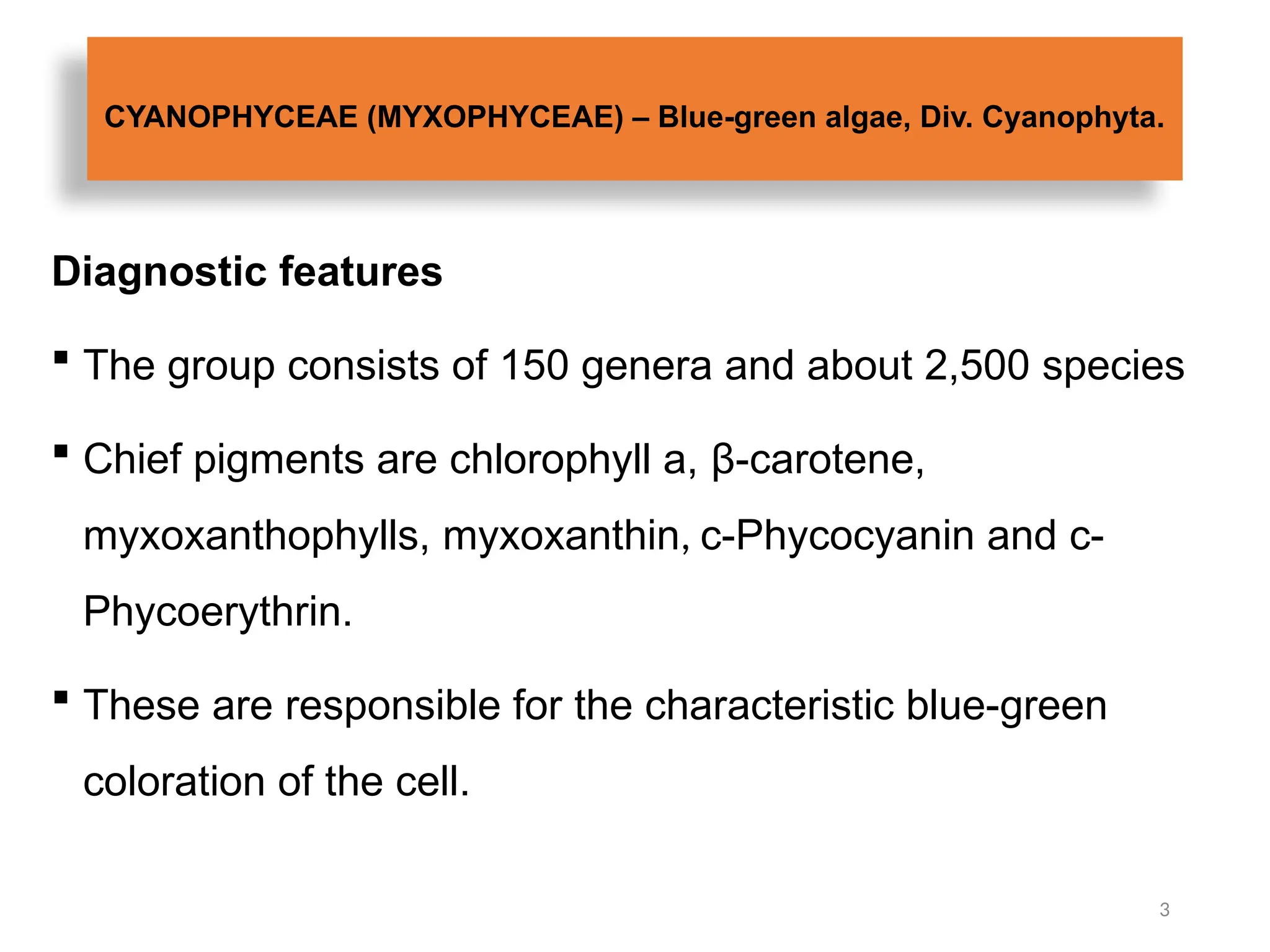 Classification of Algae, cyanophyceae 2025.pptx