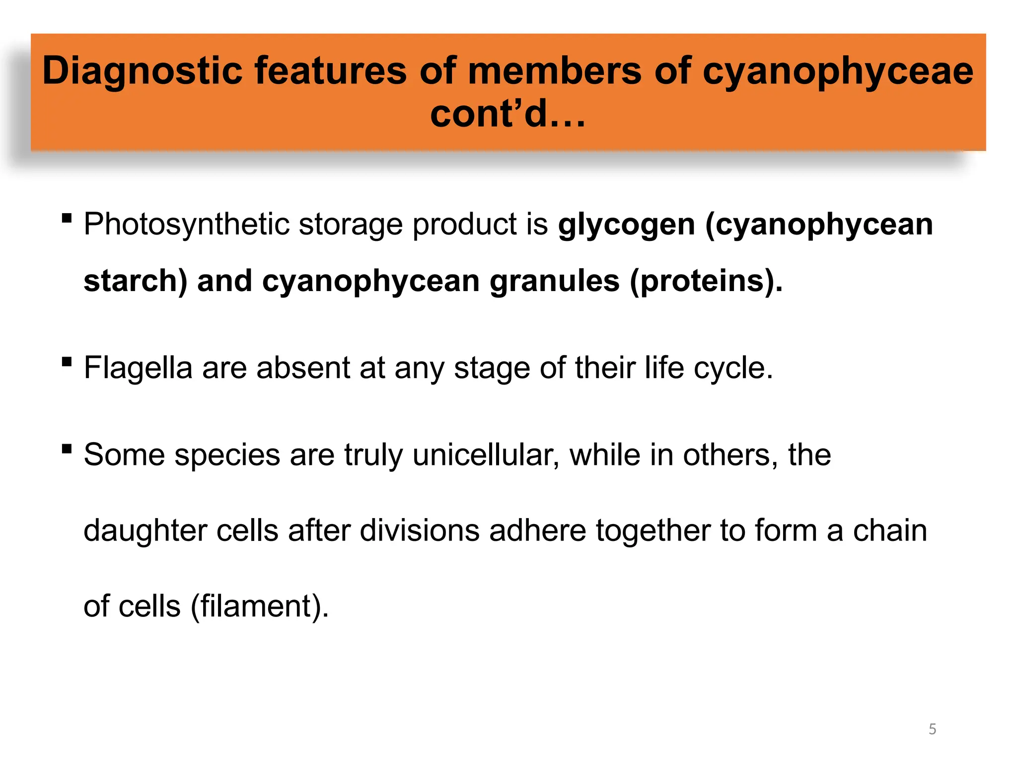 Classification of Algae, cyanophyceae 2025.pptx