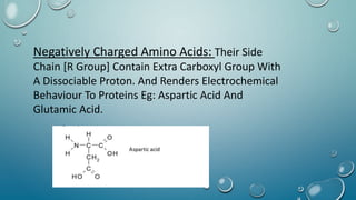 Classification of amino acid By Majedin Reza | PPTX