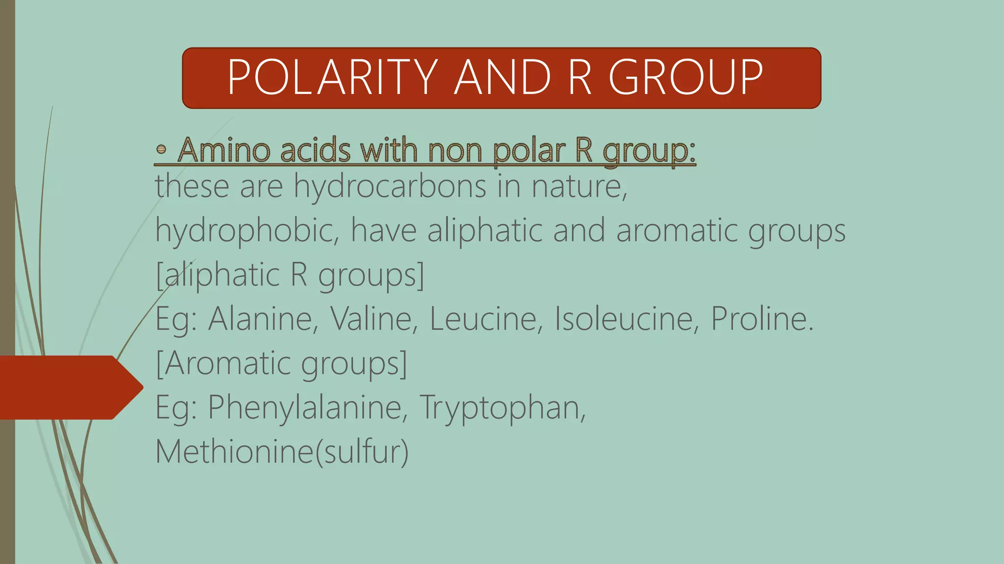 Classification of Amino Acid | PPTX