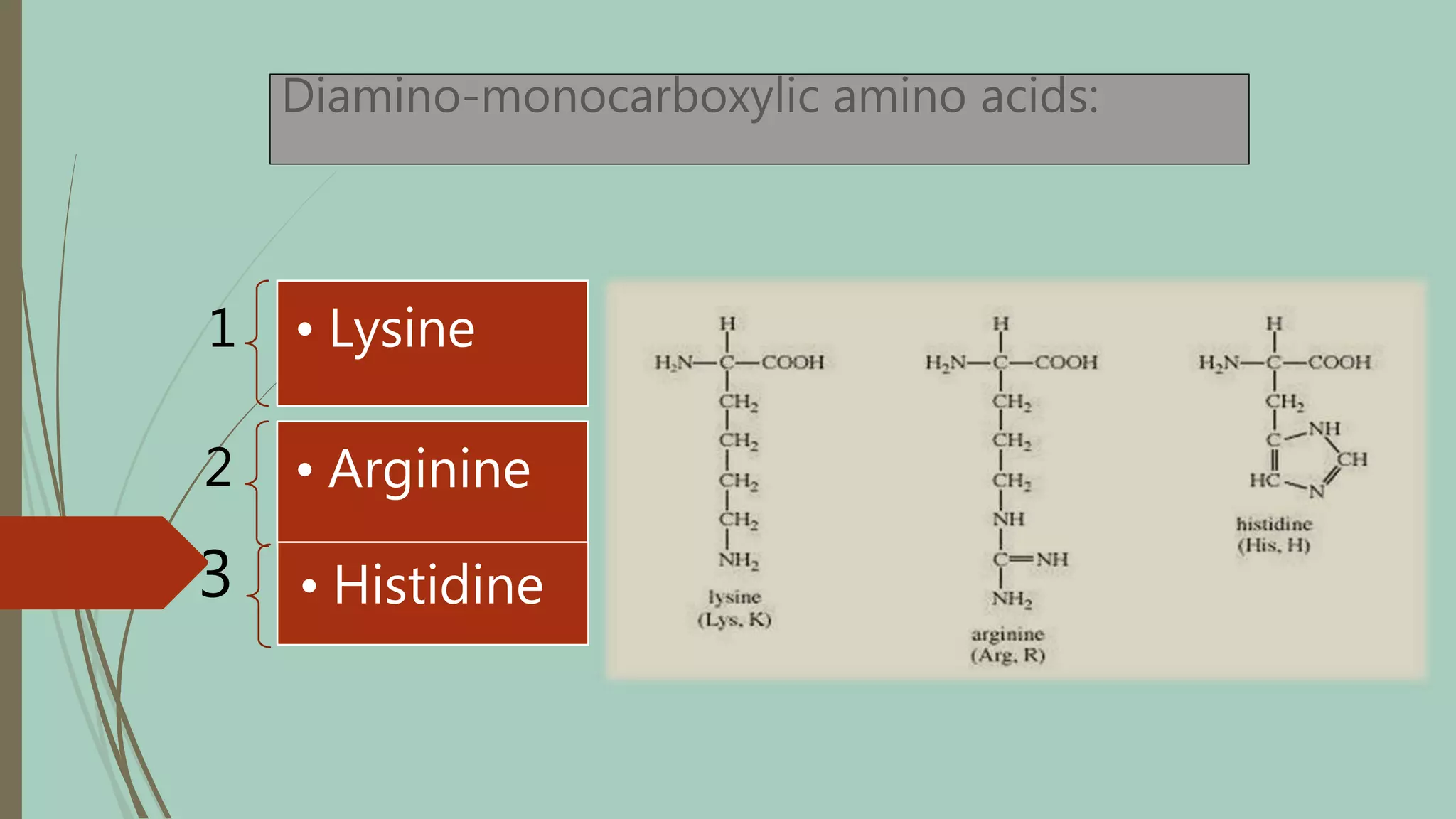 Classification of Amino Acid | PPTX