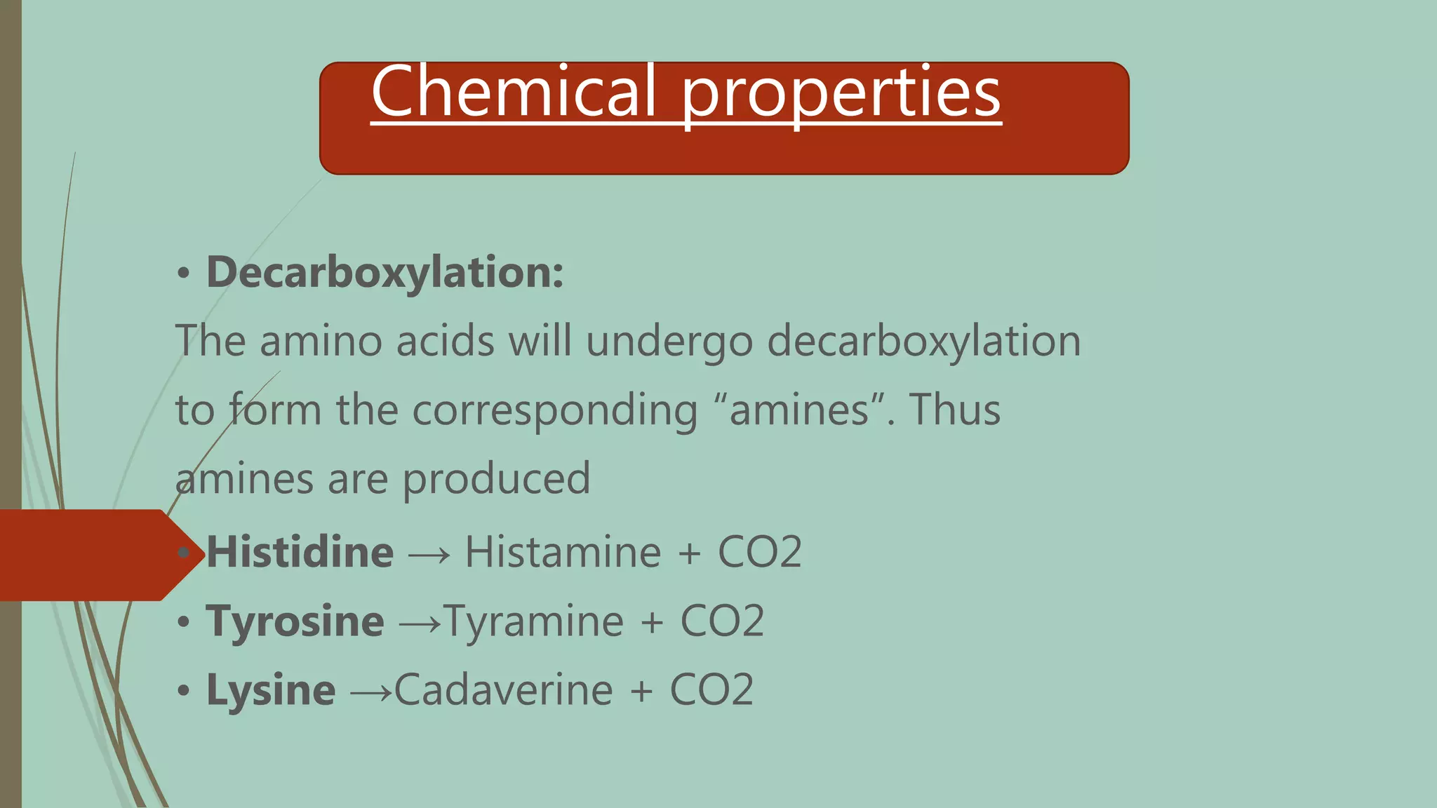 Classification of Amino Acid | PPTX