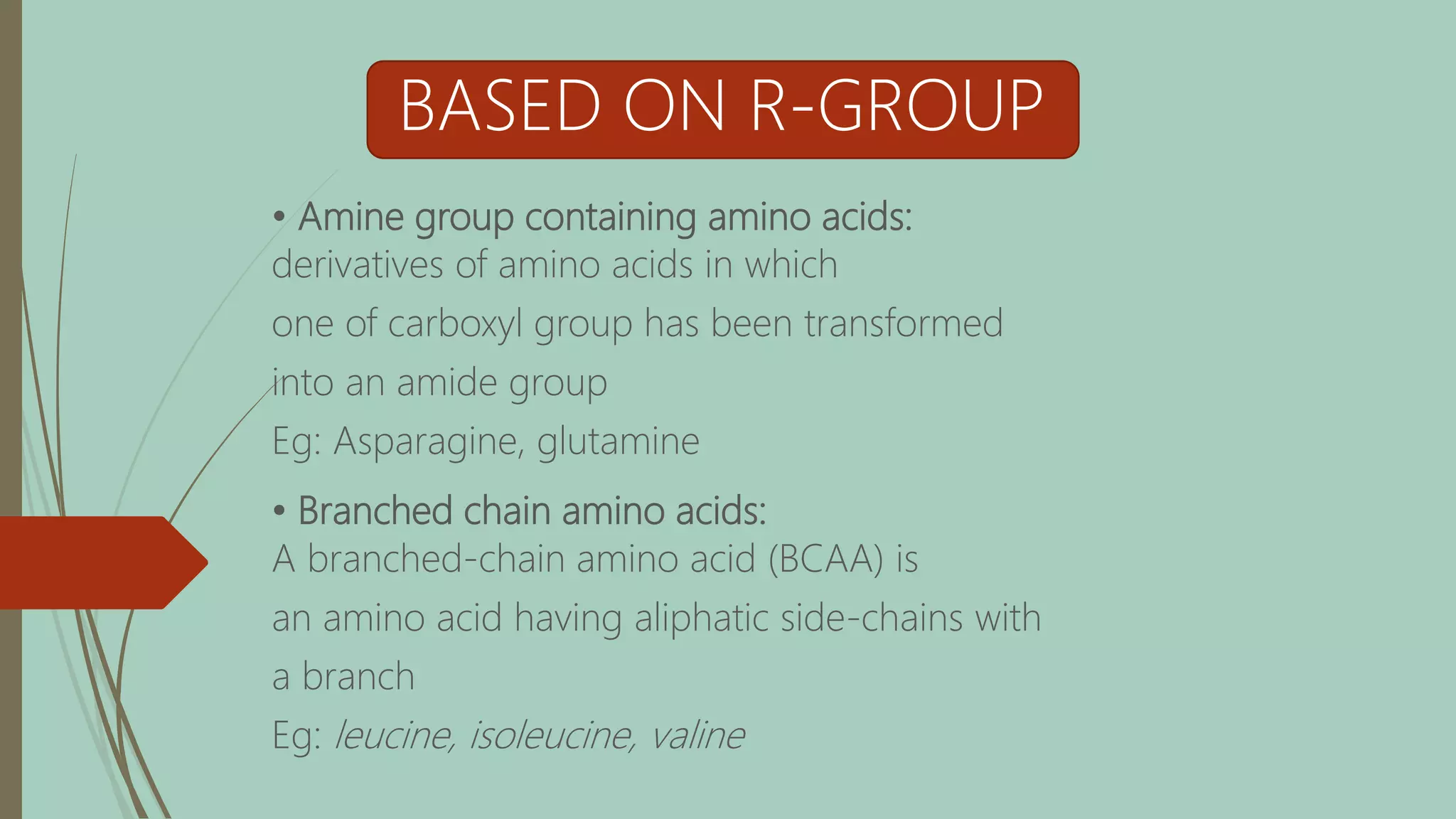 Classification of Amino Acid | PPTX