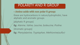 Classification of Amino Acid | PPTX