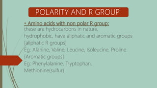 Classification of Amino Acid | PPTX