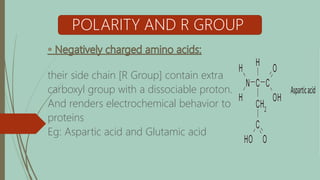 Classification of Amino Acid | PPTX