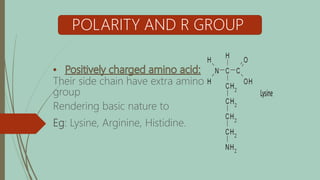 Classification of Amino Acid | PPTX