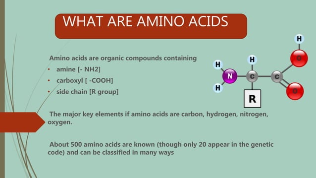 Classification of Amino Acid | PPTX | Chemistry | Science