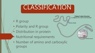 Classification of Amino Acid | PPTX