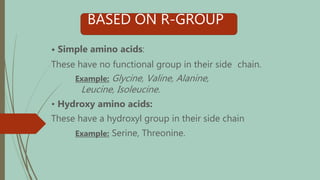 Classification of Amino Acid | PPTX